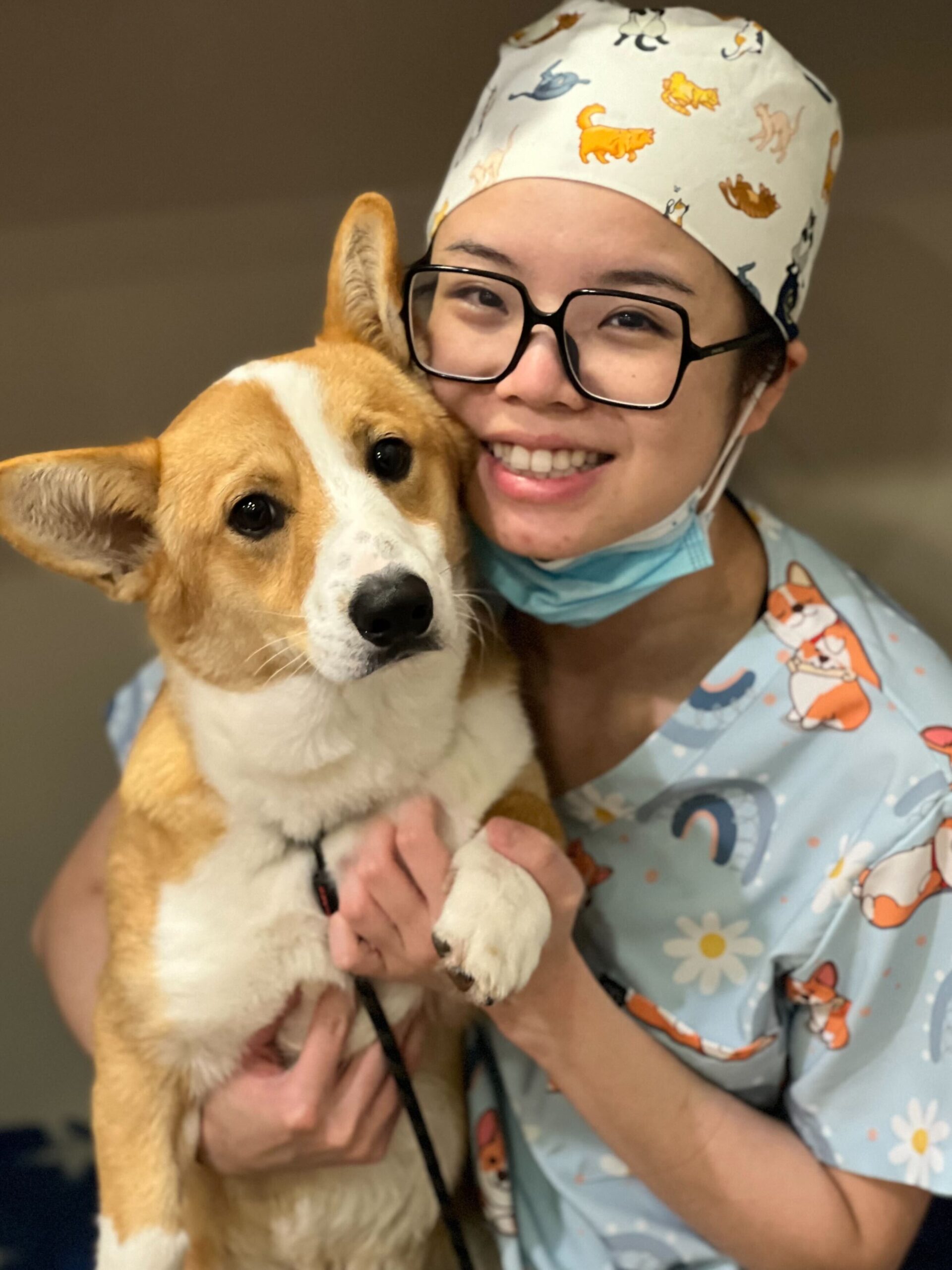 My Kind of Vet | Mobile Vet Gold Coast | In-Clinic Vet Ormeau