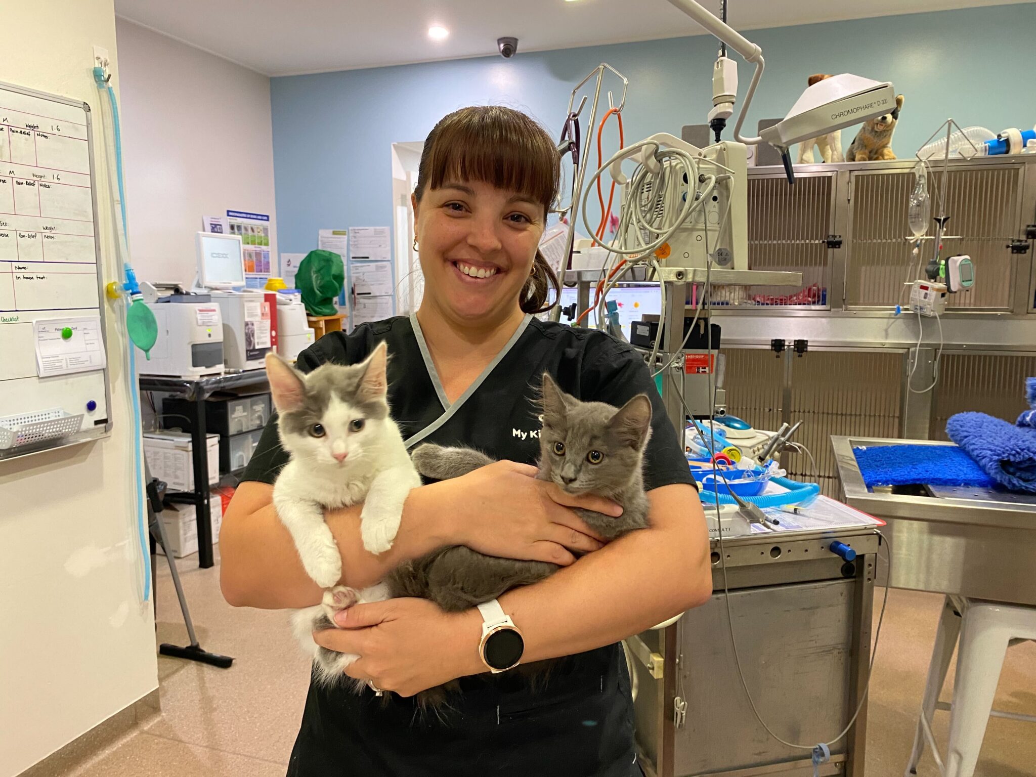 My Kind of Vet | Mobile Vet Gold Coast | In-Clinic Vet Ormeau